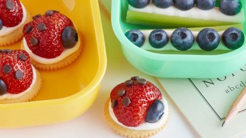 Berry Bento Box | Driscoll's