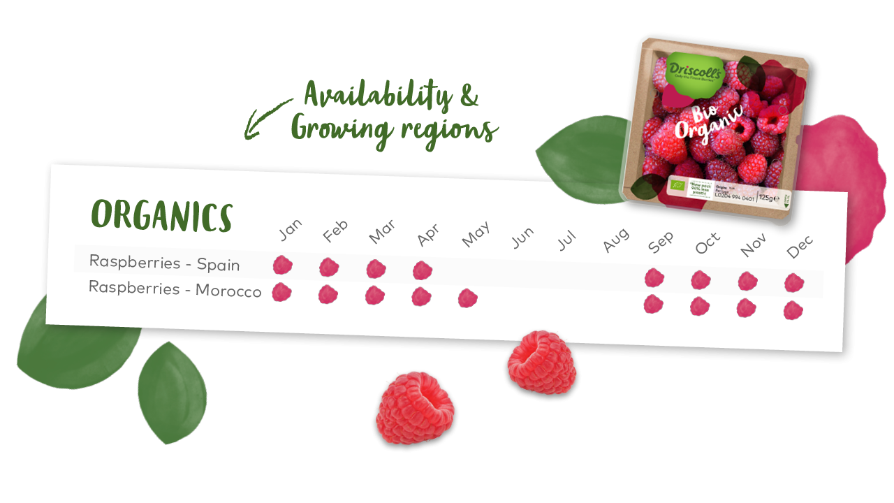 Organic berries | Driscoll's Organic berries | Driscoll's