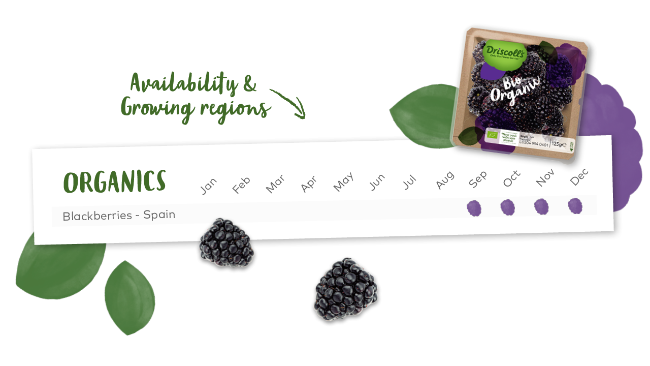 Organic berries | Driscoll's Organic berries | Driscoll's